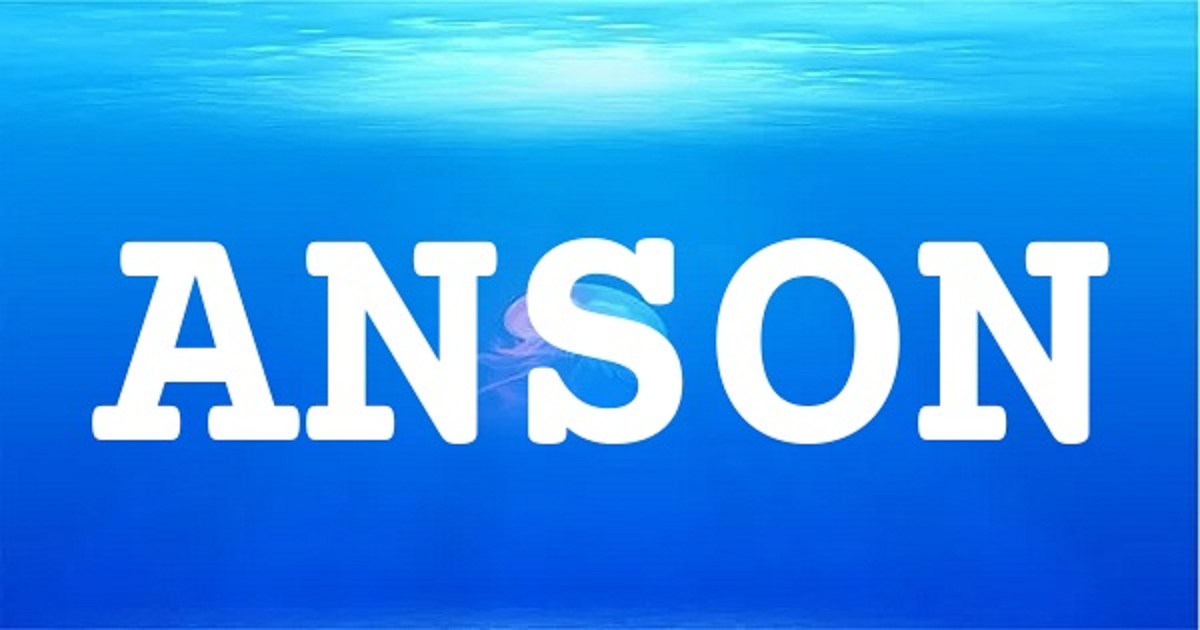 ANSON英文名字意思