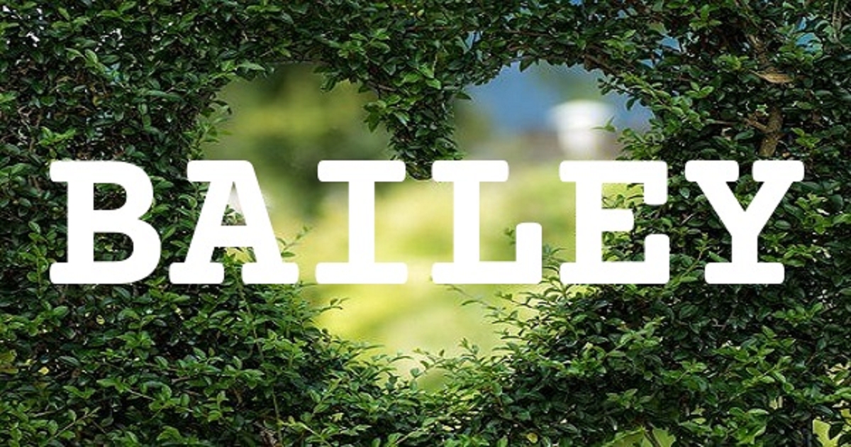BAILEY英文名字意思