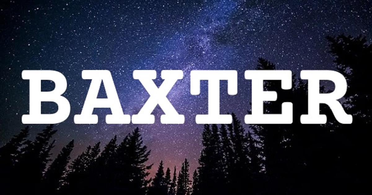 BAXTER英文名字意思