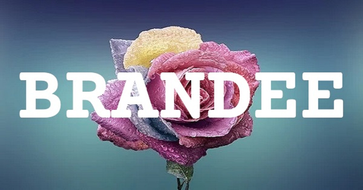 BRANDEE英文名字意思