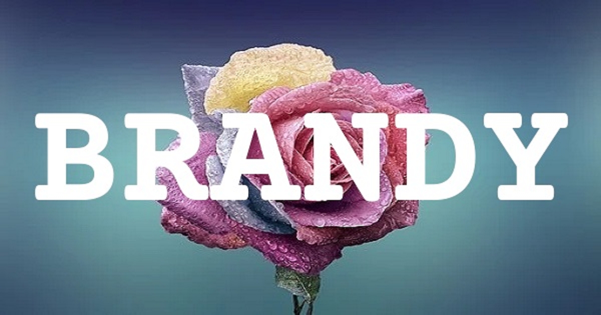 BRANDY英文名字意思