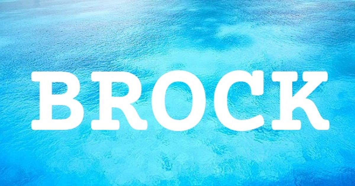 BROCK英文名字意思