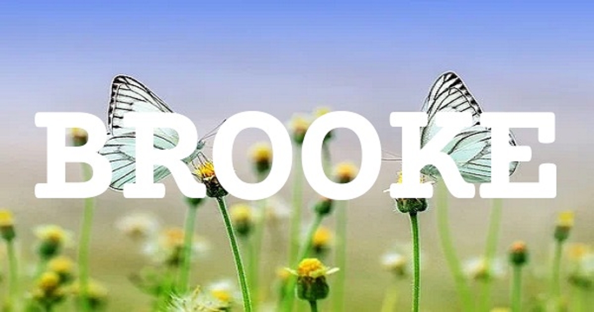 BROOKE英文名字意思