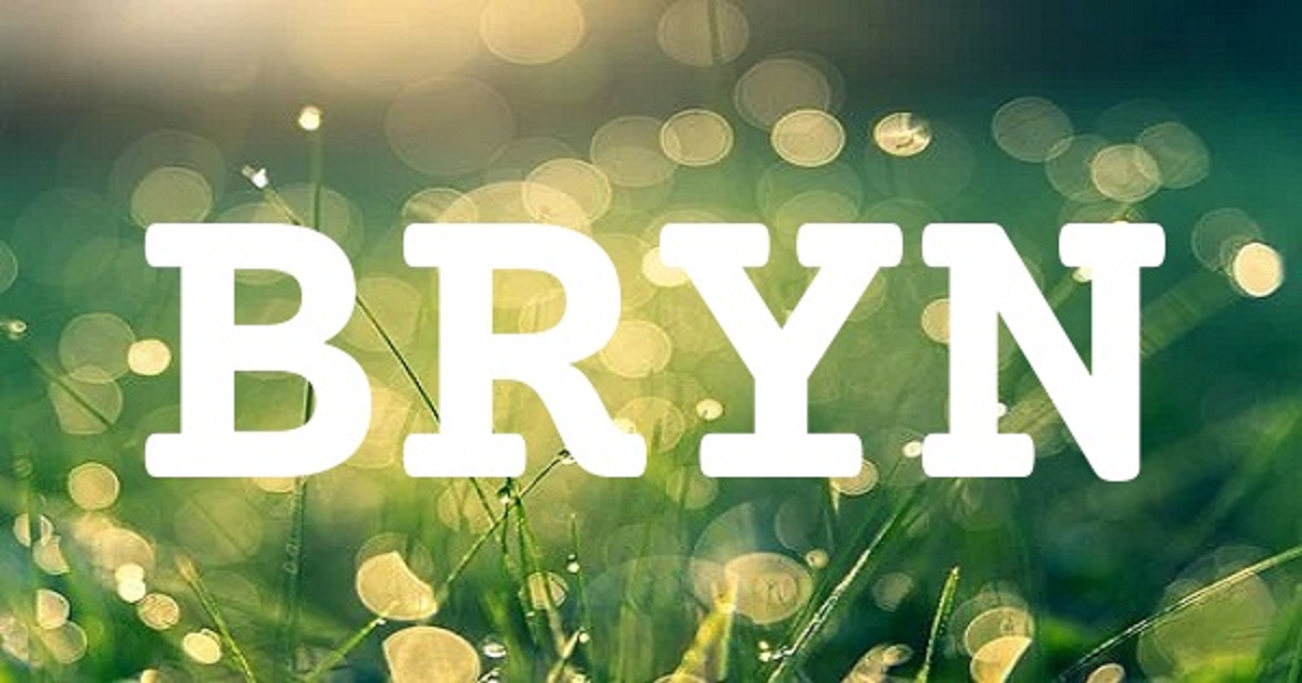 BRYN英文名字意思