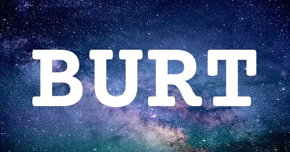 BURT英文名字意思