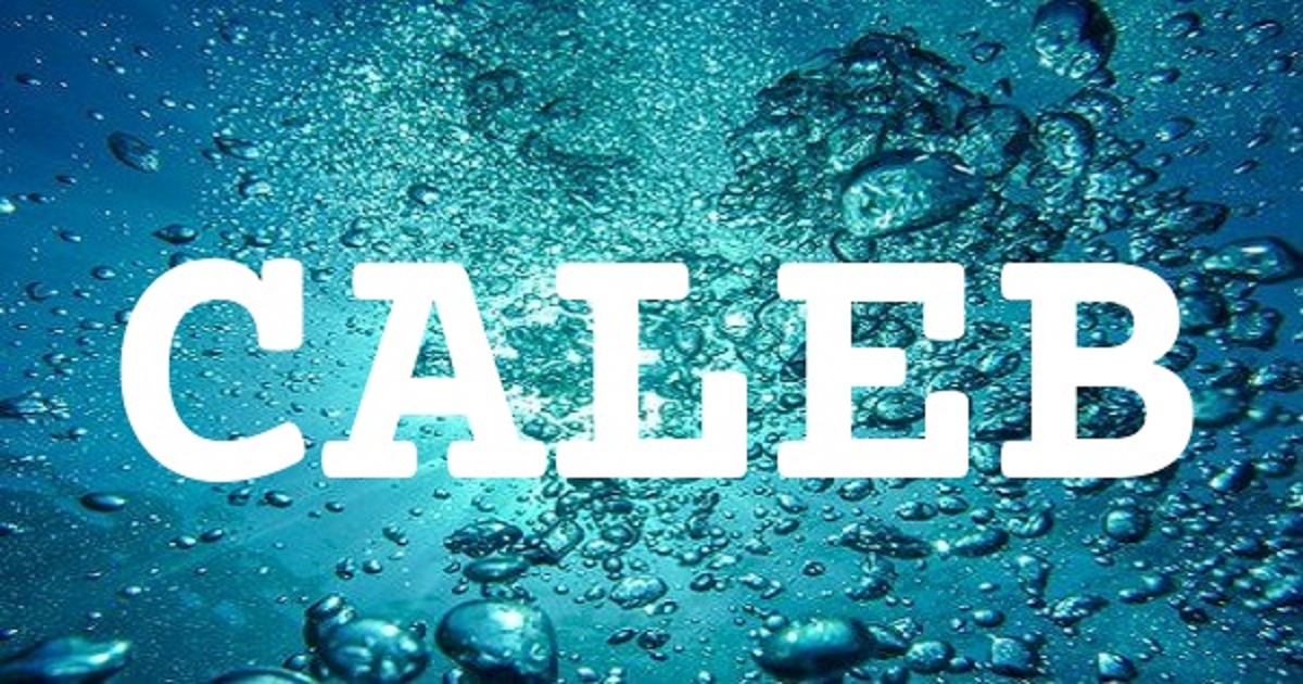 CALEB英文名字意思