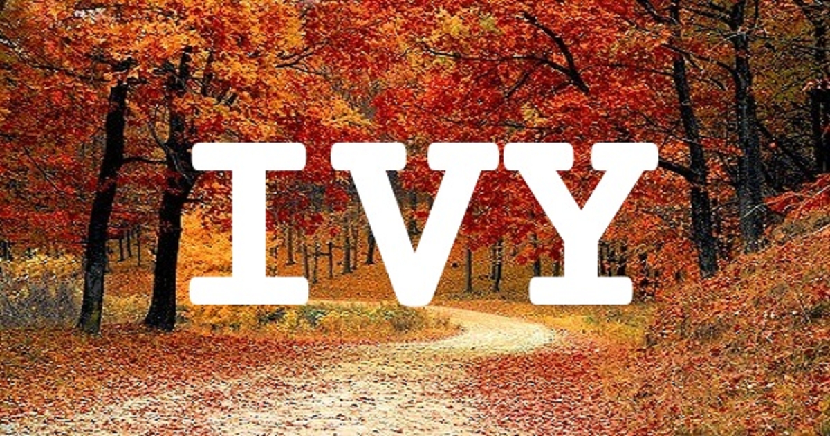 IVY英文名字意思