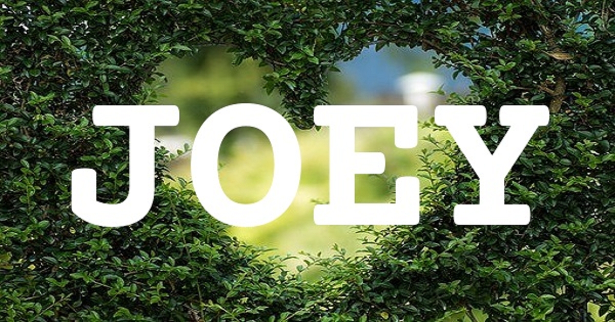 JOEY英文名字意思