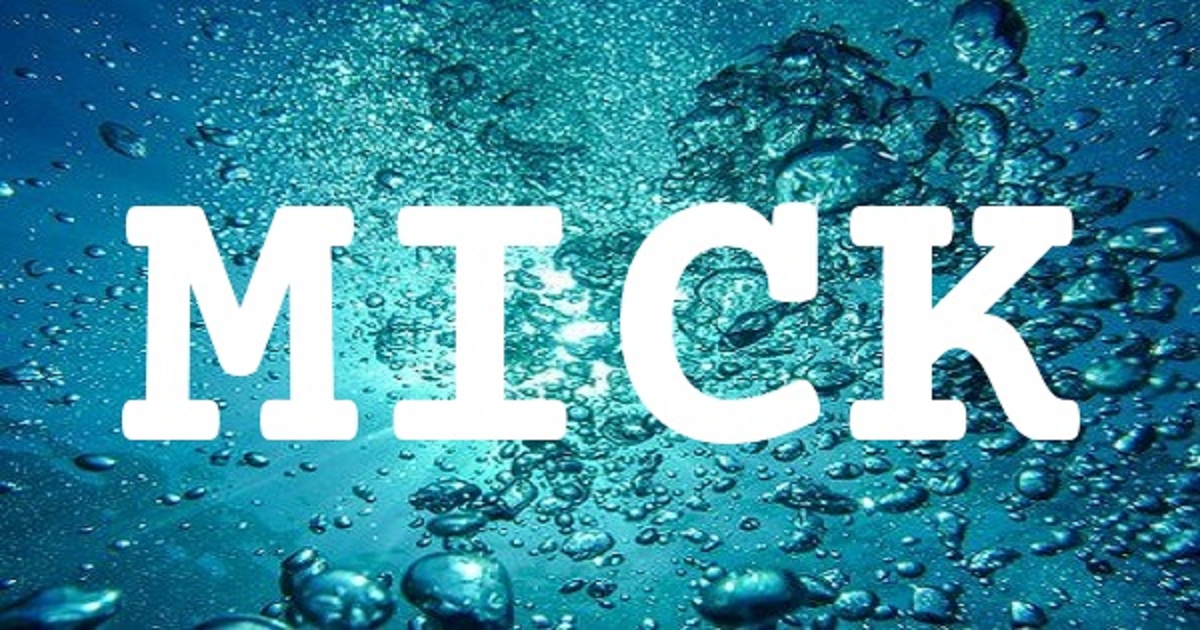 MICK英文名字意思