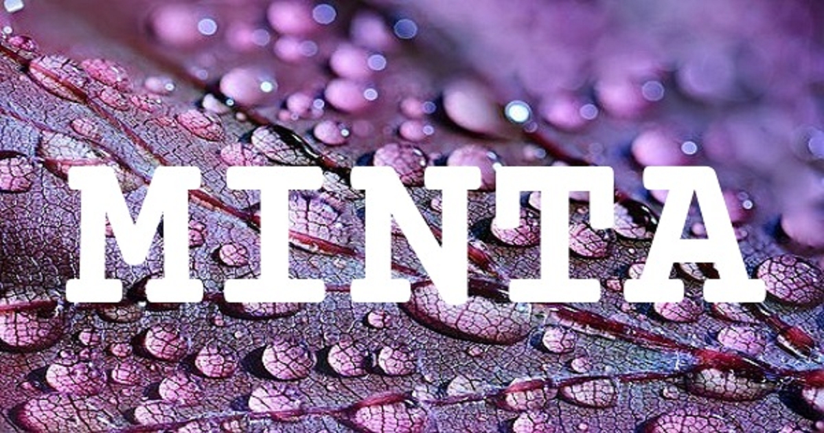 MINTA英文名字意思