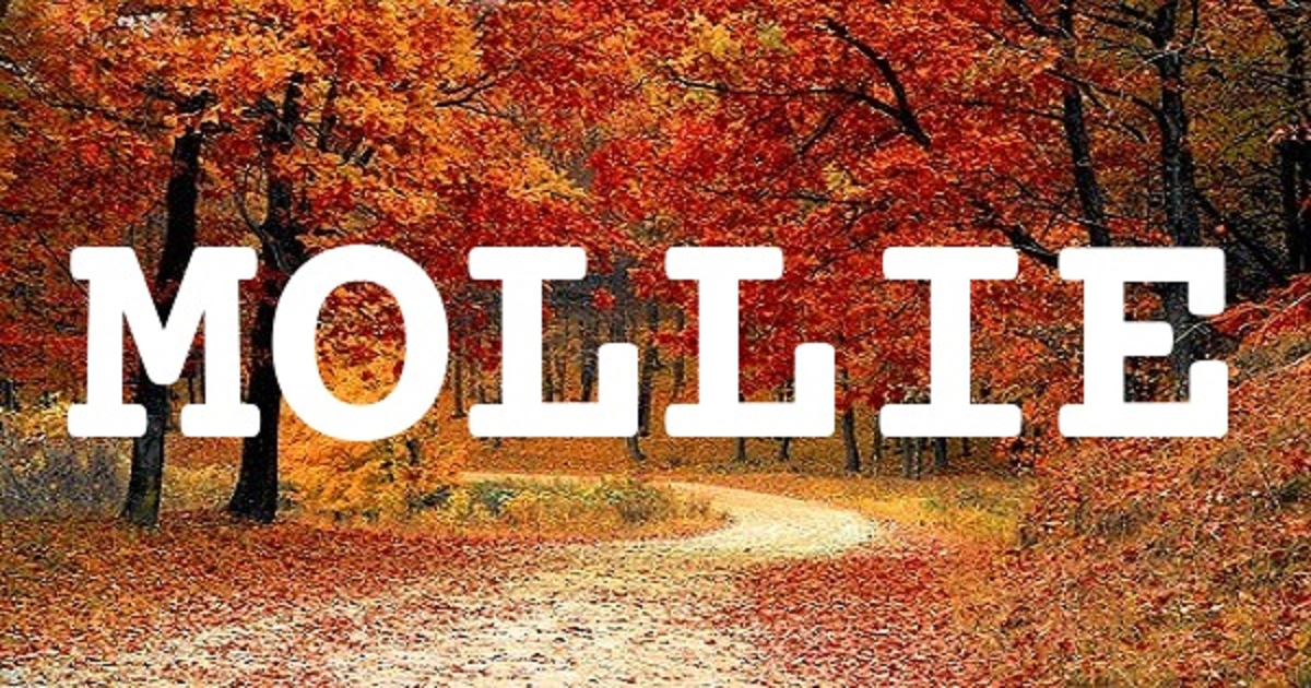 MOLLIE英文名字意思