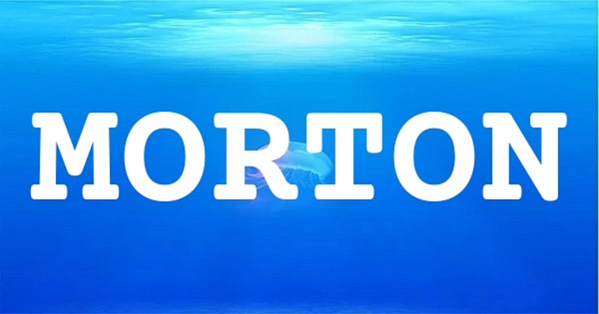 MORTON英文名字意思