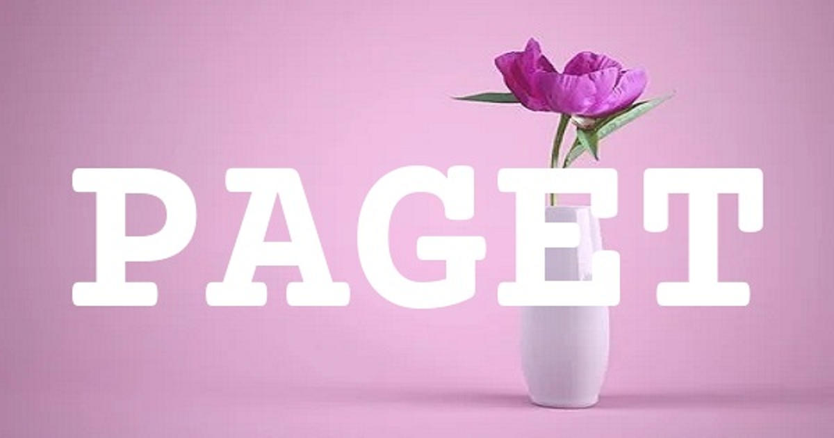 PAGET英文名字意思