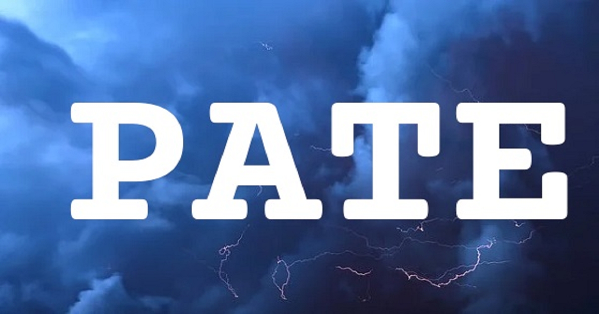 PATE英文名字意思