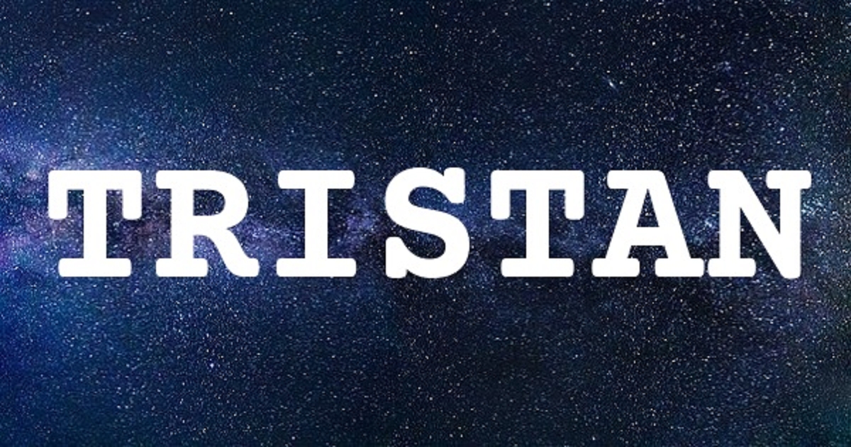TRISTAN英文名字意思
