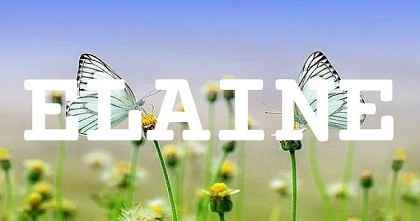 ELAINE英文名字意思